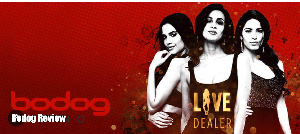 Bodog Review